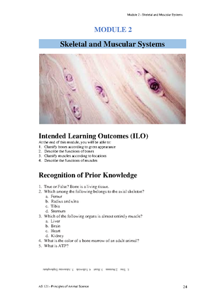 TLE 7 Cookery 1 - K to 12 Basic Education Curriculum Technology and ...