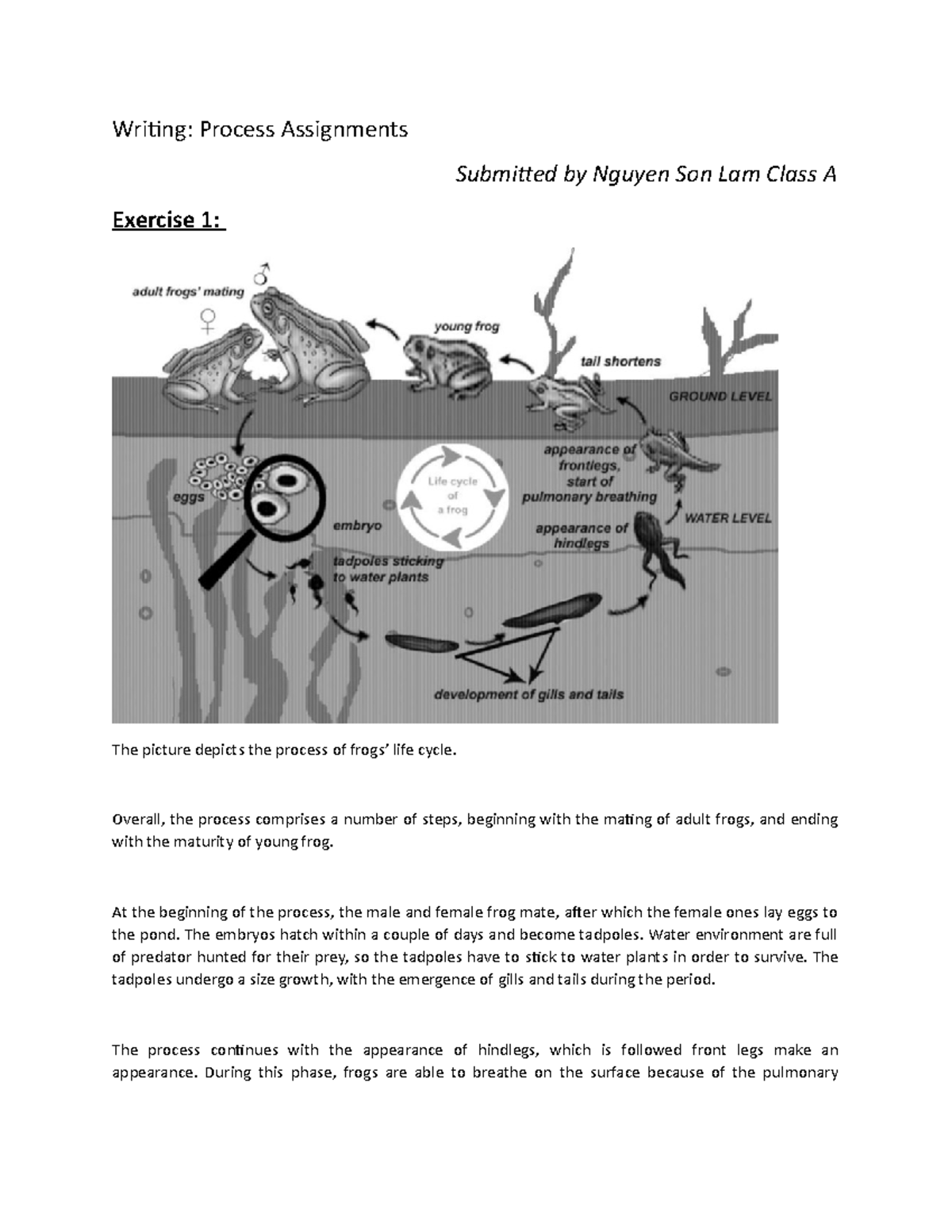 Writing Process Assignments submitted by Nguyen Son Lam - Overall, the ...