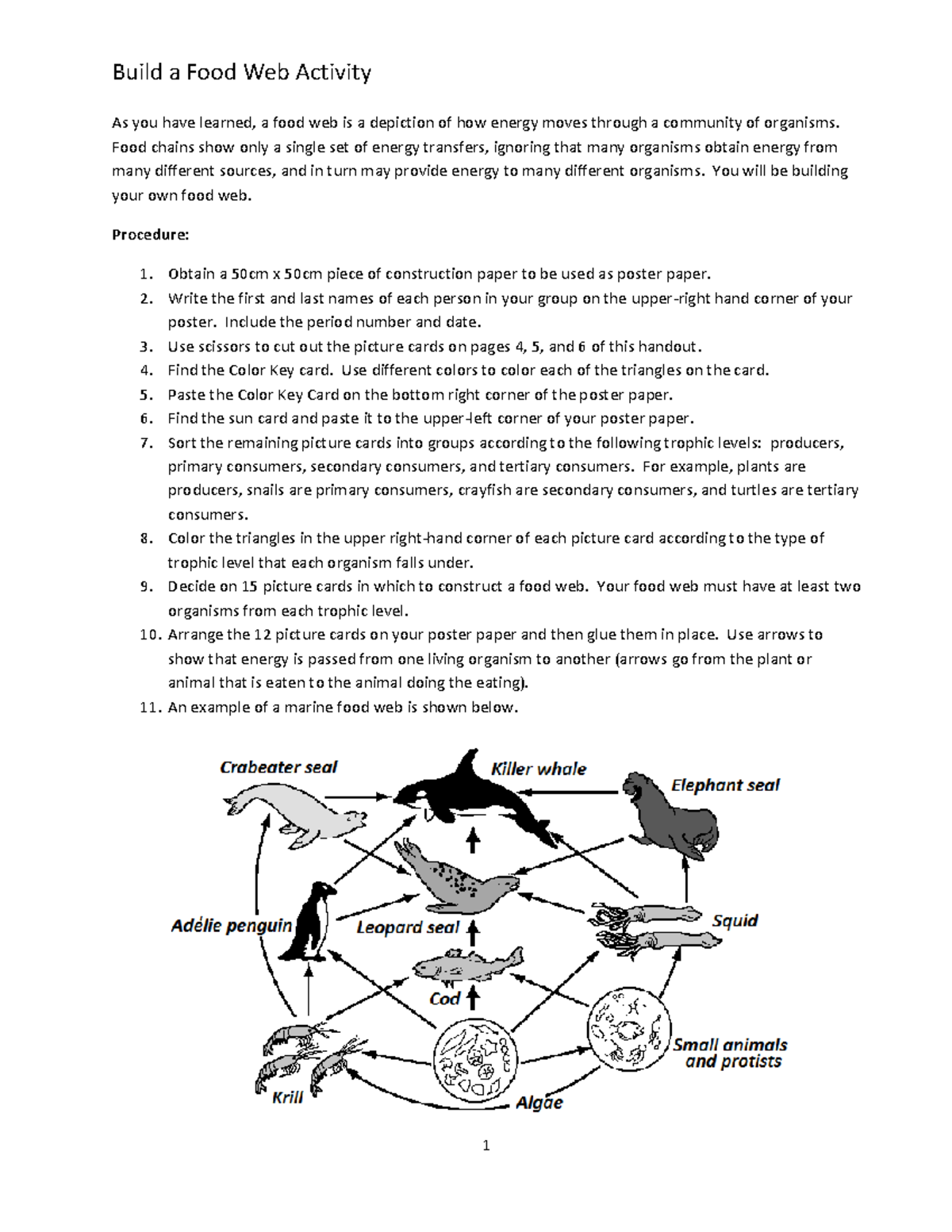 Victor Alicea-mendez - Building a Food Web and Chain - As you have ...