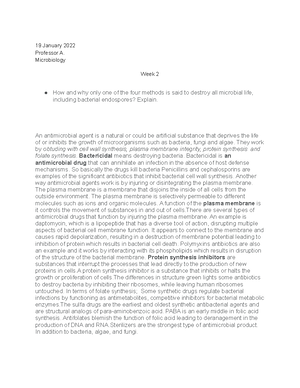 Bacterial Identification Lab Worksheet Student - BioInteractive ...