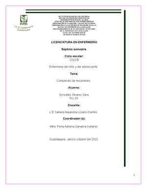 Servicios de enfermeria - GESTION Y ADMINISTRACION DE LOS SERVICIOS DE ...