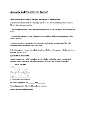 Anatomy and Physiology 2-Exam 1 - Anatomy & Physiology 2 - Exam 1 What ...