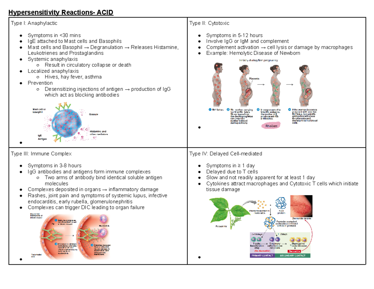 Hypersensitivity Reactions - Studocu