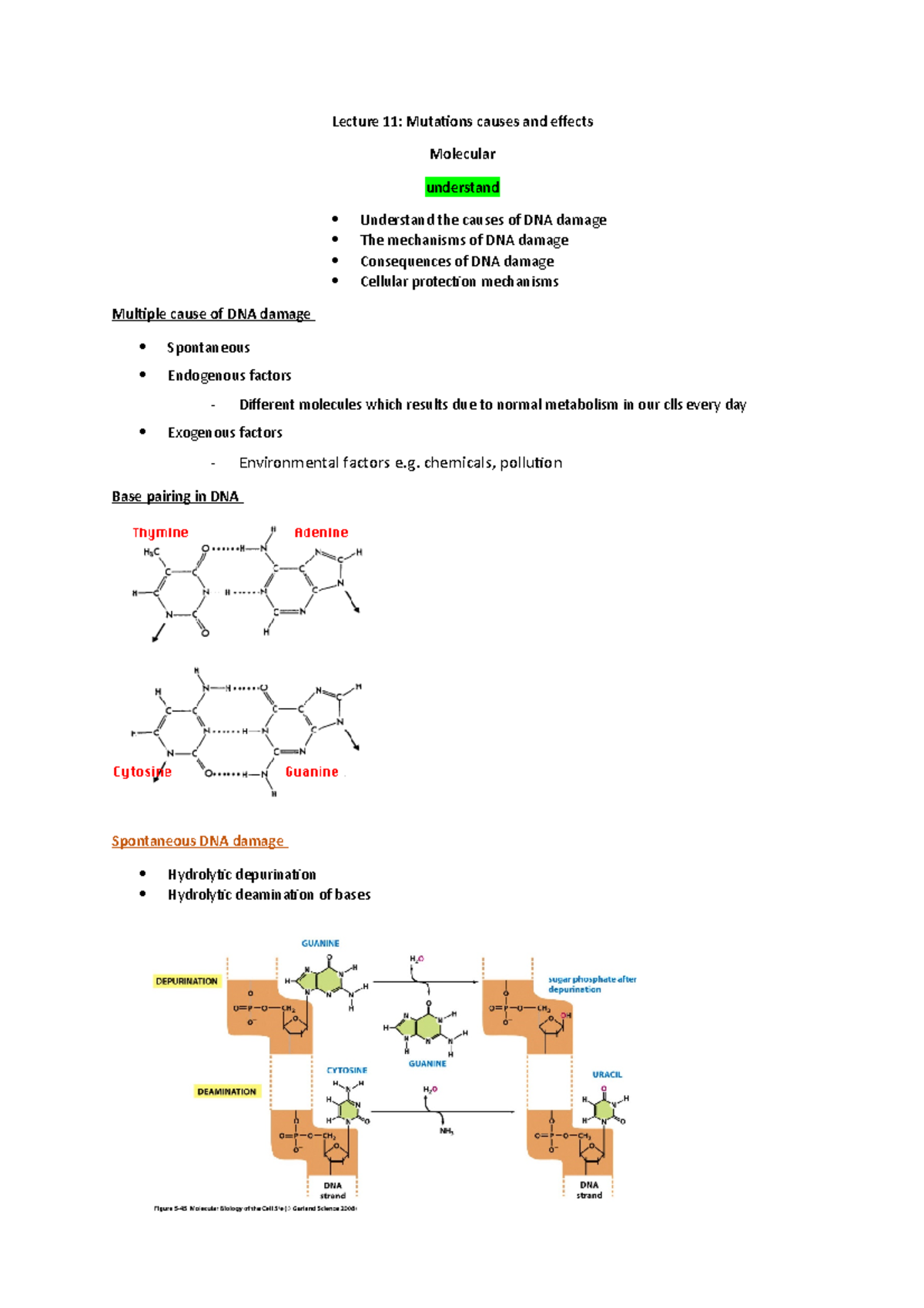 Lecture 11 of Molecular biology - Lecture 11: Mutations causes and ...