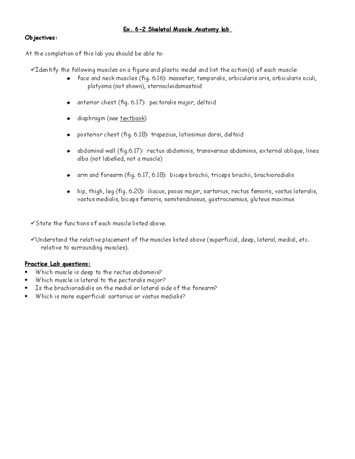 Ex.6-2 Skeletal Muscle Anatomy Lab Pearson - Ex. 6-2 Skeletal Muscle ...