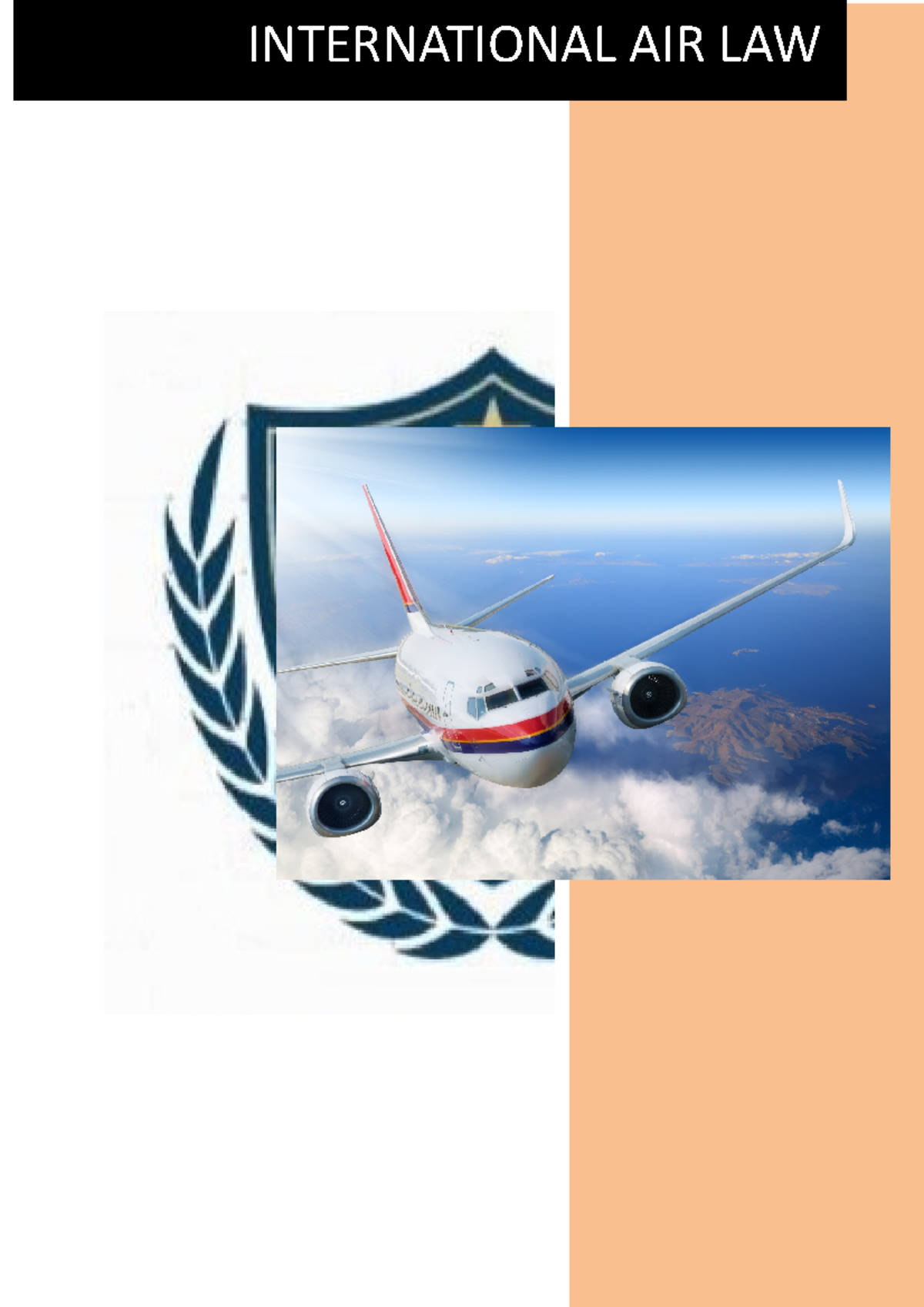 International Aviation Law- Module 1 - INTERNATIONAL AIR LAW MODULE I ...