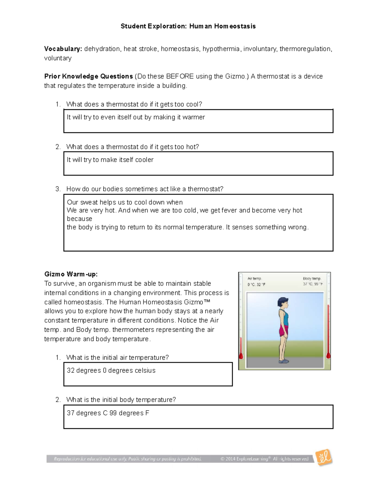 Copy of Gizmos Human Homeostasis Activity - Vocabulary: dehydration ...