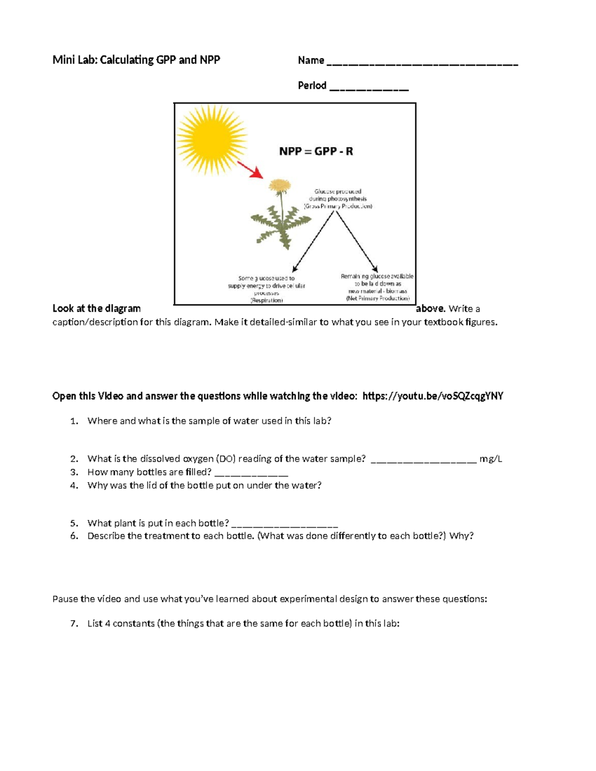 Mini virtual lab calculating gpp and npp - Mini Lab: Calculating GPP and NPP Name - Studocu