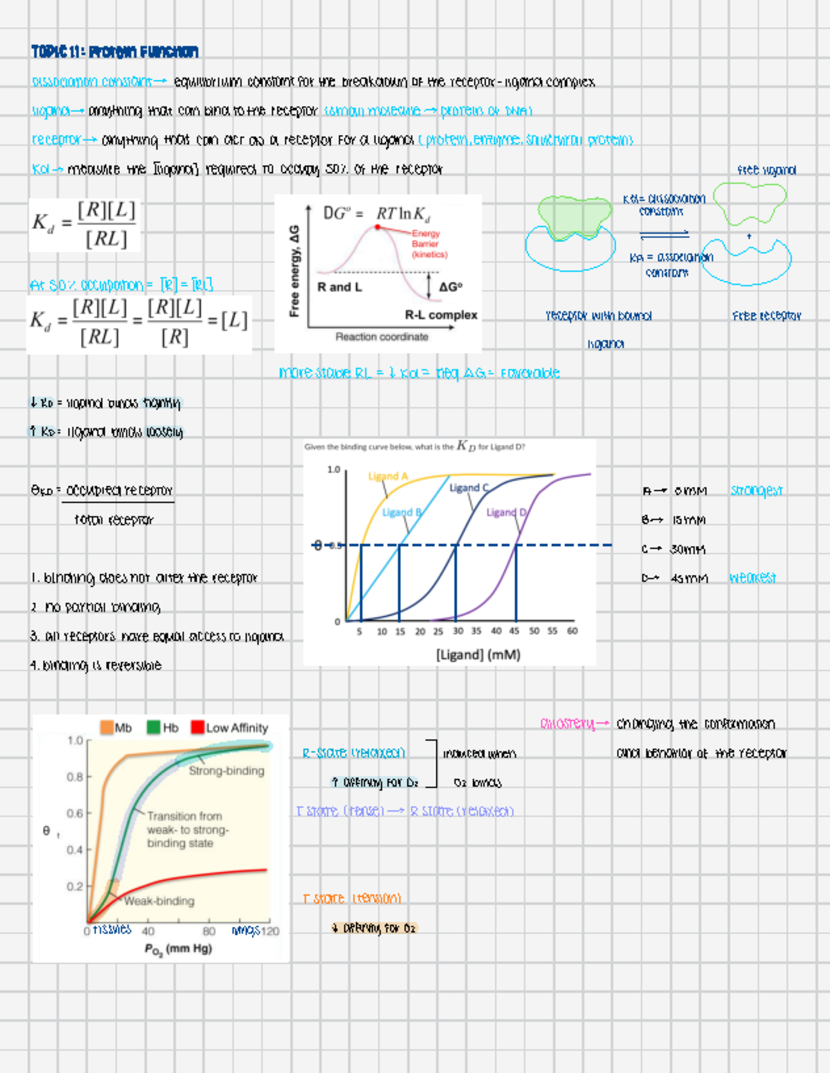 BCH2333 Topic 11 - Protein Function - TOPIC 11 : Protein function ...