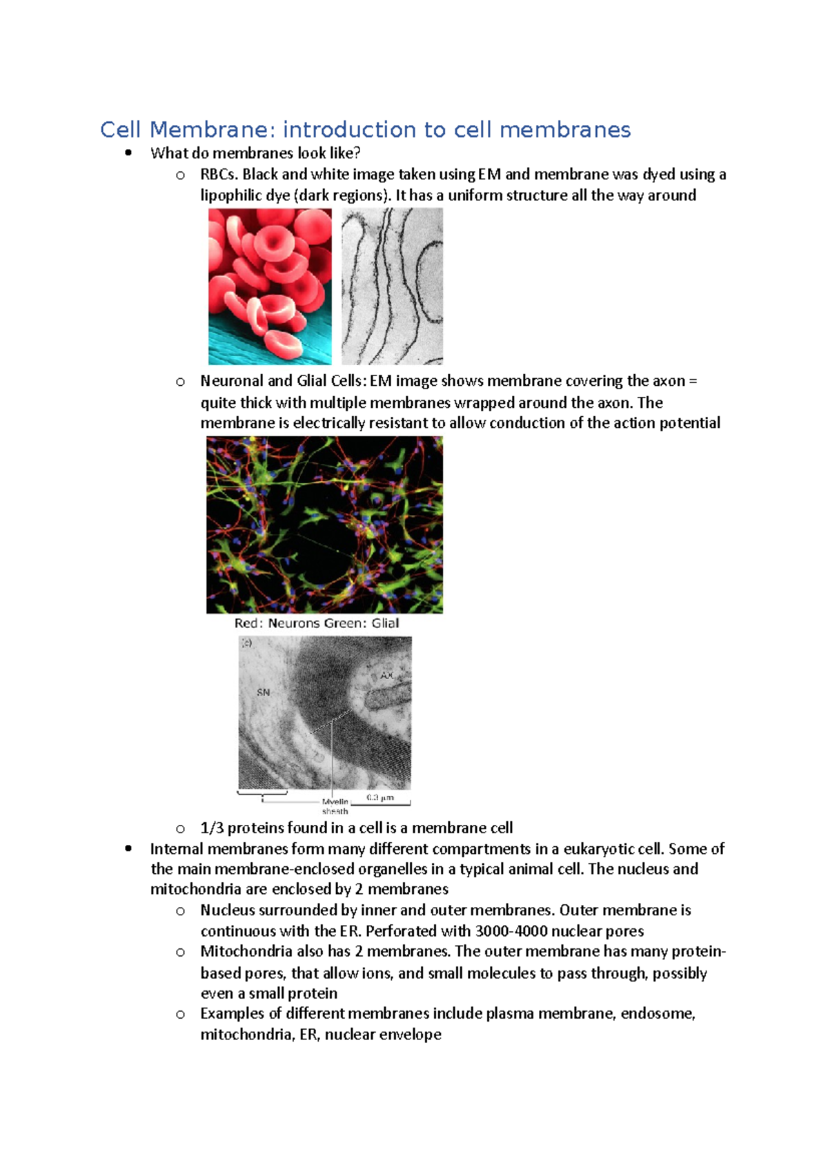 BIOL21141 Week 1 Notes - Cell Membrane: introduction to cell membranes ...