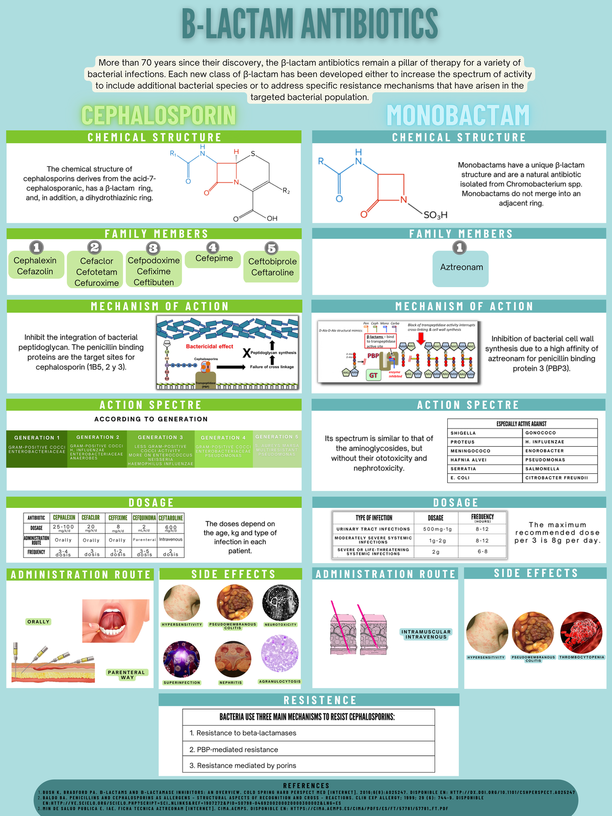 Poster B- Lactamicos Grupo 2 - B U S H K , B R A D F O R D P A. Β - L A C T A M S A N D Β - L A ...