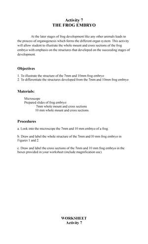 NS-Embryology- Activity NO. 8 - Activity 8 THE CHICK EMBRYO (13-24 Hour ...