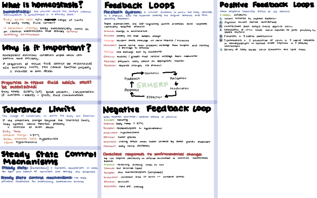 CH 5 Summary - Homeostasis of blood sugar levels and Thermoregulation ...