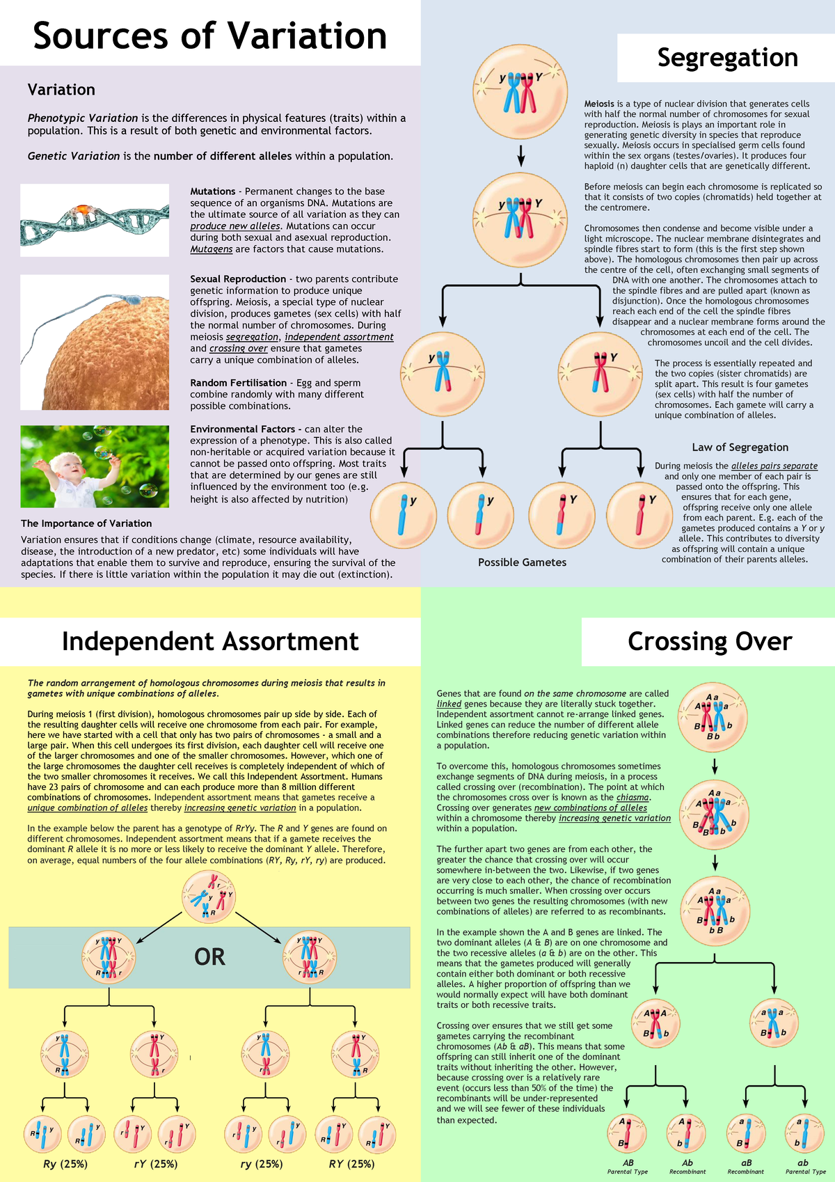 Sources of Variation of membrane - Sources of Variation Variation ...