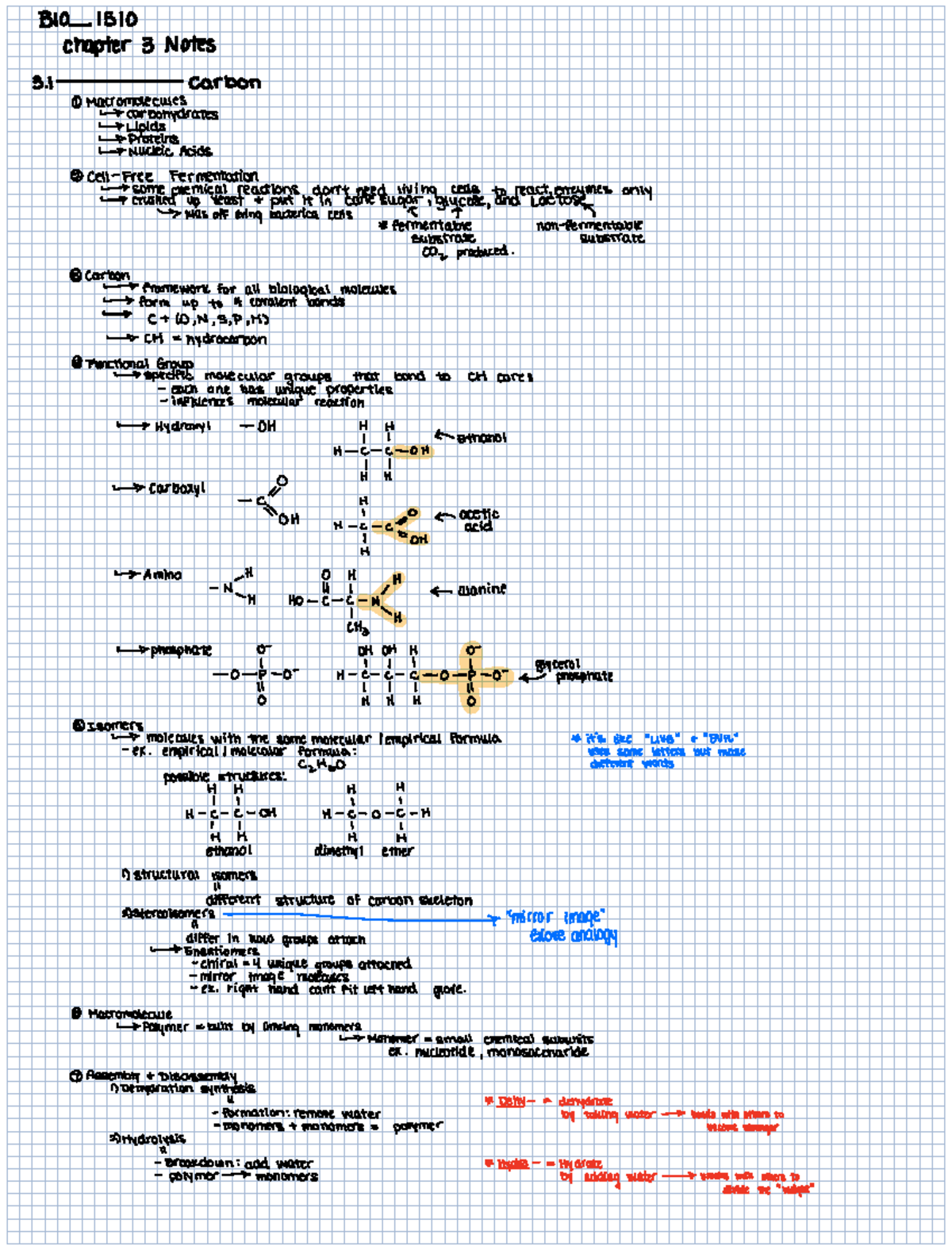 BIO1510 Ch3 notes - Based off Biology, 13th edition by Peter Raven ...
