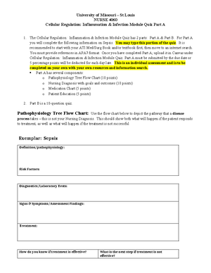 CV-Murmurs - Murmur notes - CARDIAC AUSCULTATION OVERVIEW FOR FNP ...