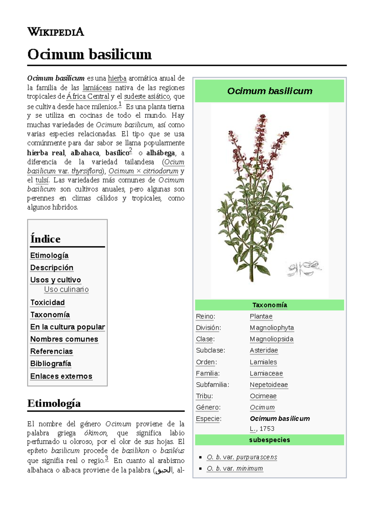Ocimum basilicum - , 1753 subespecies O. b. var. purpurascens O. b. var ...