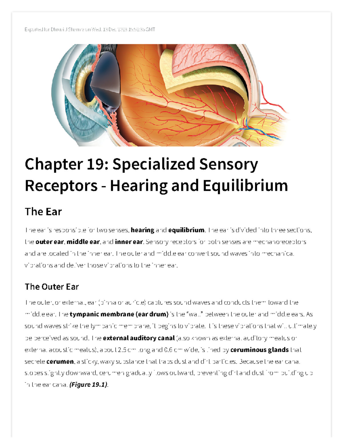 Chapter 19 Specialized Sensory Receptors - Hearing and Equilibrium ...