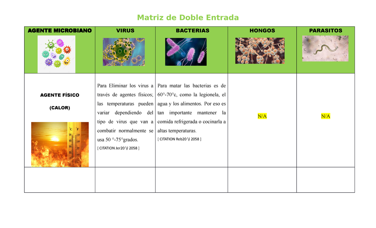 Sosa Alejandra A8 - Repaso de actividades en clases - AGENTE MICROBIANO ...
