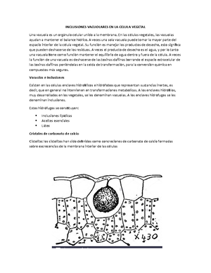 Hipervolemia - HIPERVOLEMIA Cuidados de enfermería NANDA: PI: Riesgo de ...