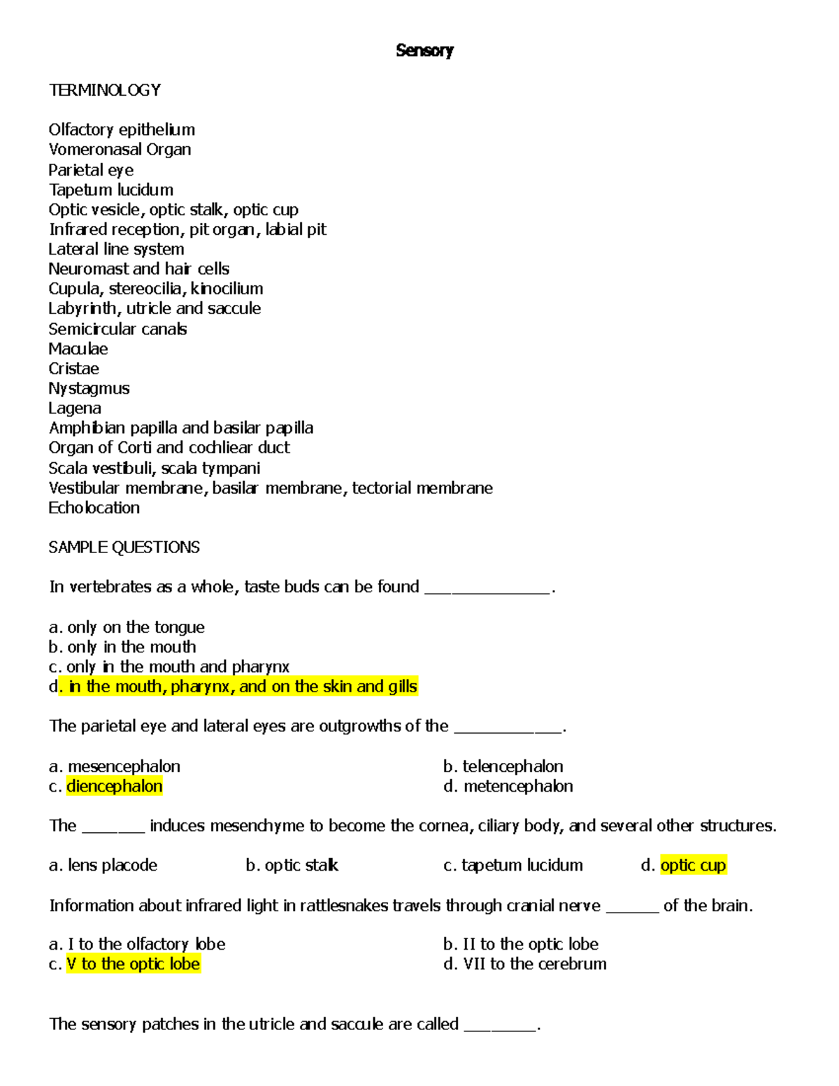 Sensory Terminology and Sample Questions - Studocu