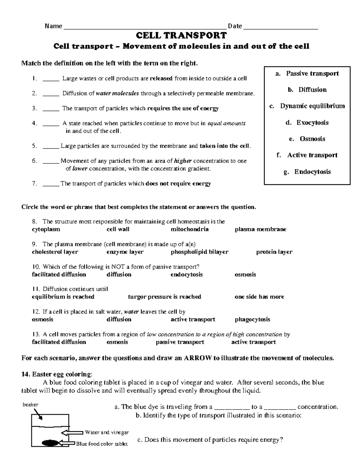 2 - cell transport - Name ...