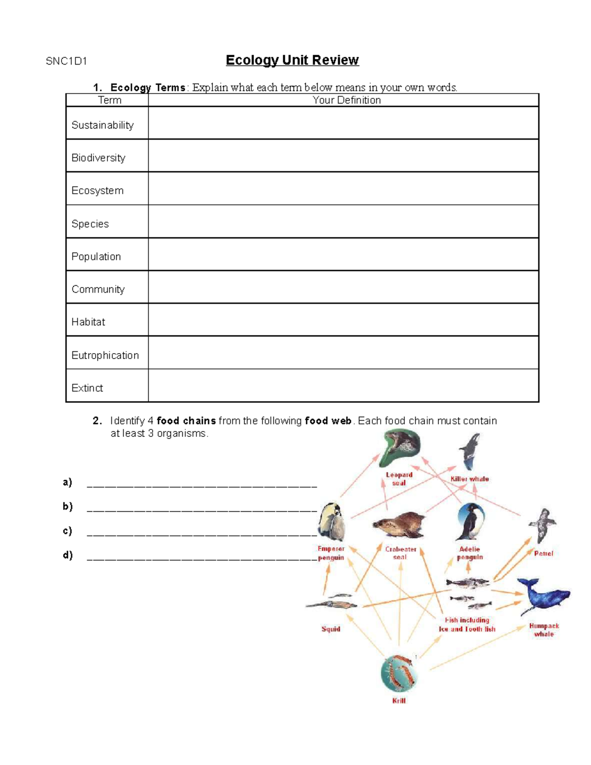 Ecology Review of the Earth's systematical area - SNC1D1 Ecology Unit ...