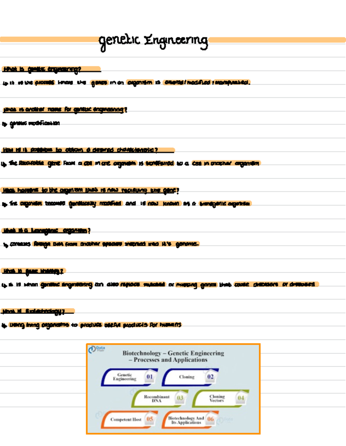 Genetic Engineering - genetic Engineering what is genetic engineering ...