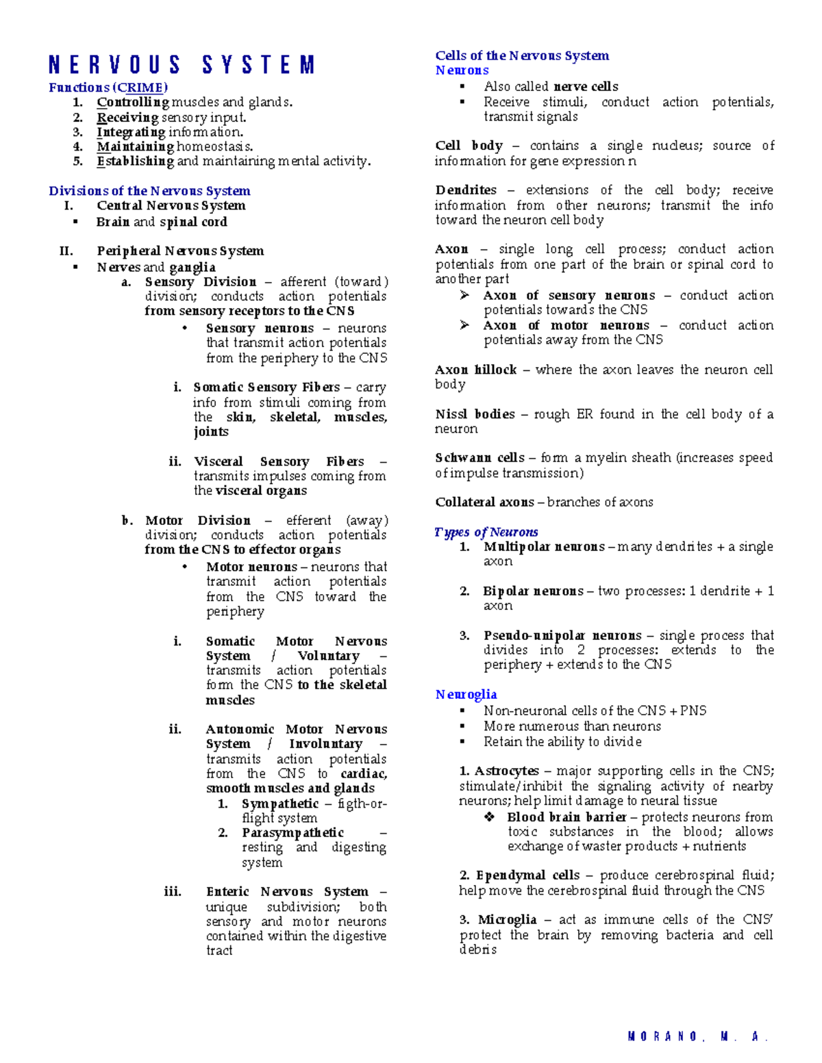 8 Nervous System For Review N E R V O U S S Y S T E M Functions