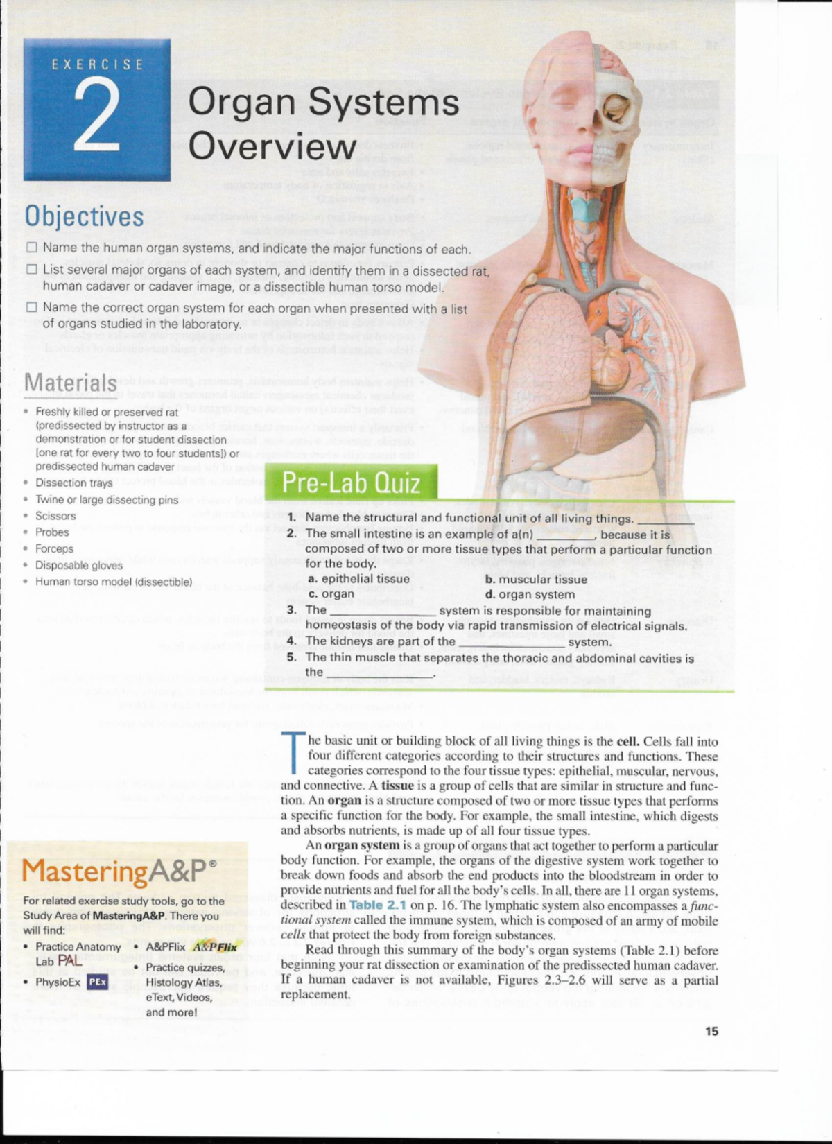Ex. 2 Organ Systems - bio 211 - Studocu