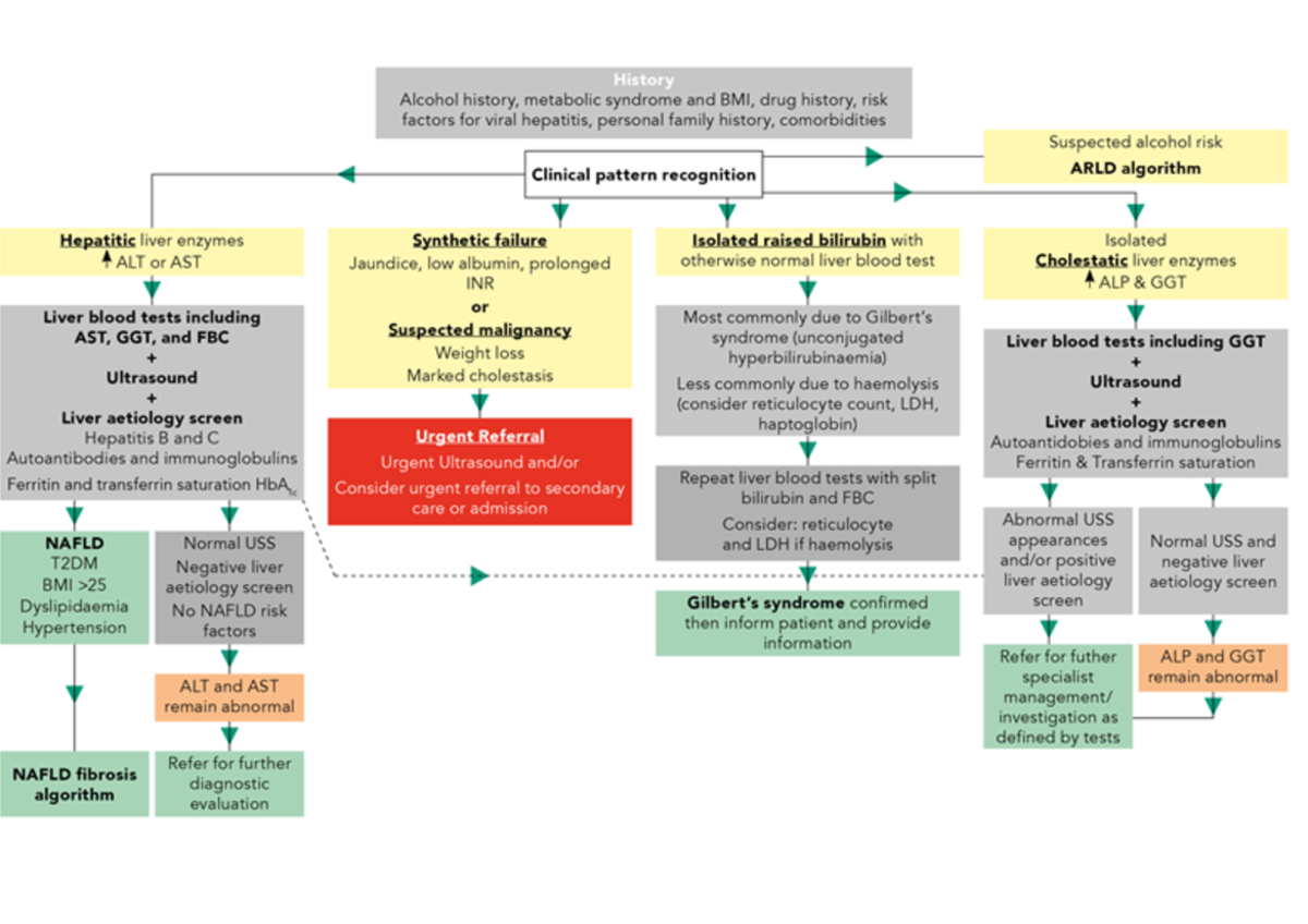Liver investigations algorithm - Studocu Liver investigations algorithm - Studocu