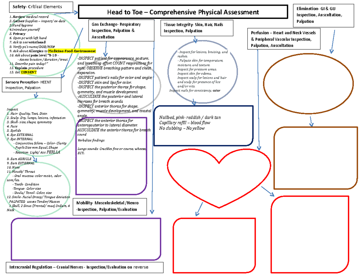 Head to Toe Physical Assessment Concept Map Template - . f Ears AURICLE ...