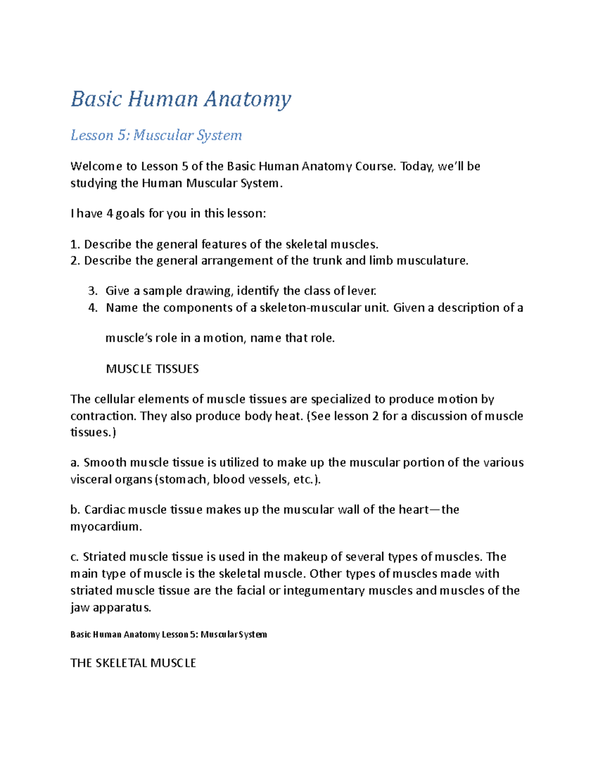 Basic Human Anatomy 4 - notes - Basic Human Anatomy Lesson 5: Muscular ...