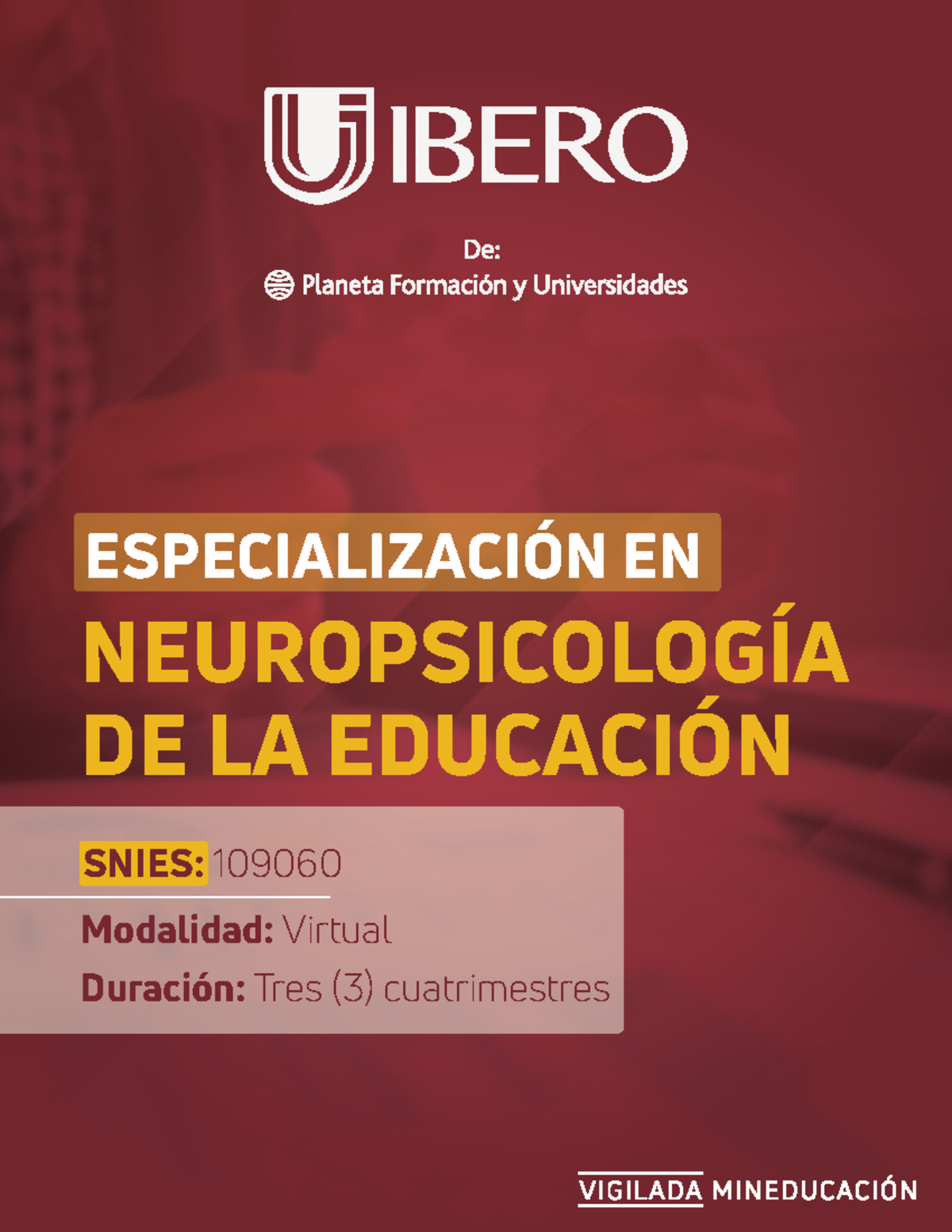 Brochure NeuropsicologíA DE LA EducacióN Virtual Ibero-min Especialización - NEUROPSICOLOGÍA DE ...