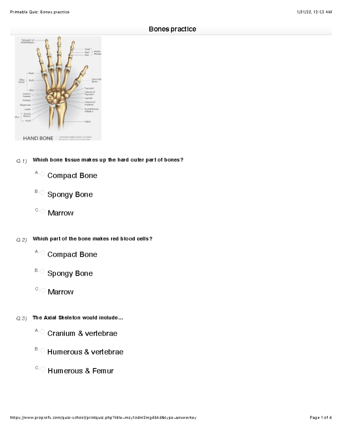 Bones practice - Q) Which bone tissue makes up the hard outer part of ...