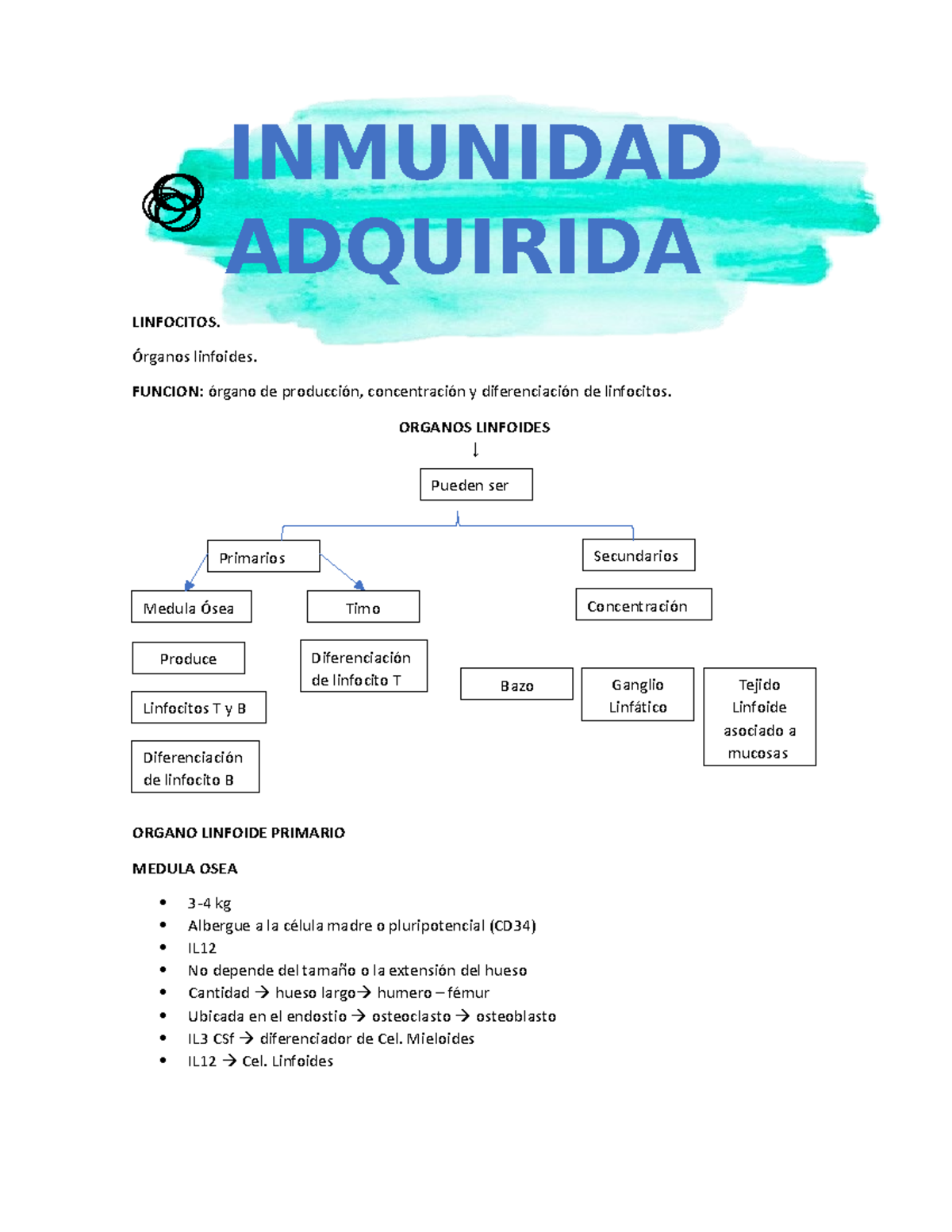Inmunidad Adquirida - INMUNIDAD ADQUIRIDA LINFOCITOS. Órganos linfoides. FUNCION: órgano de ...