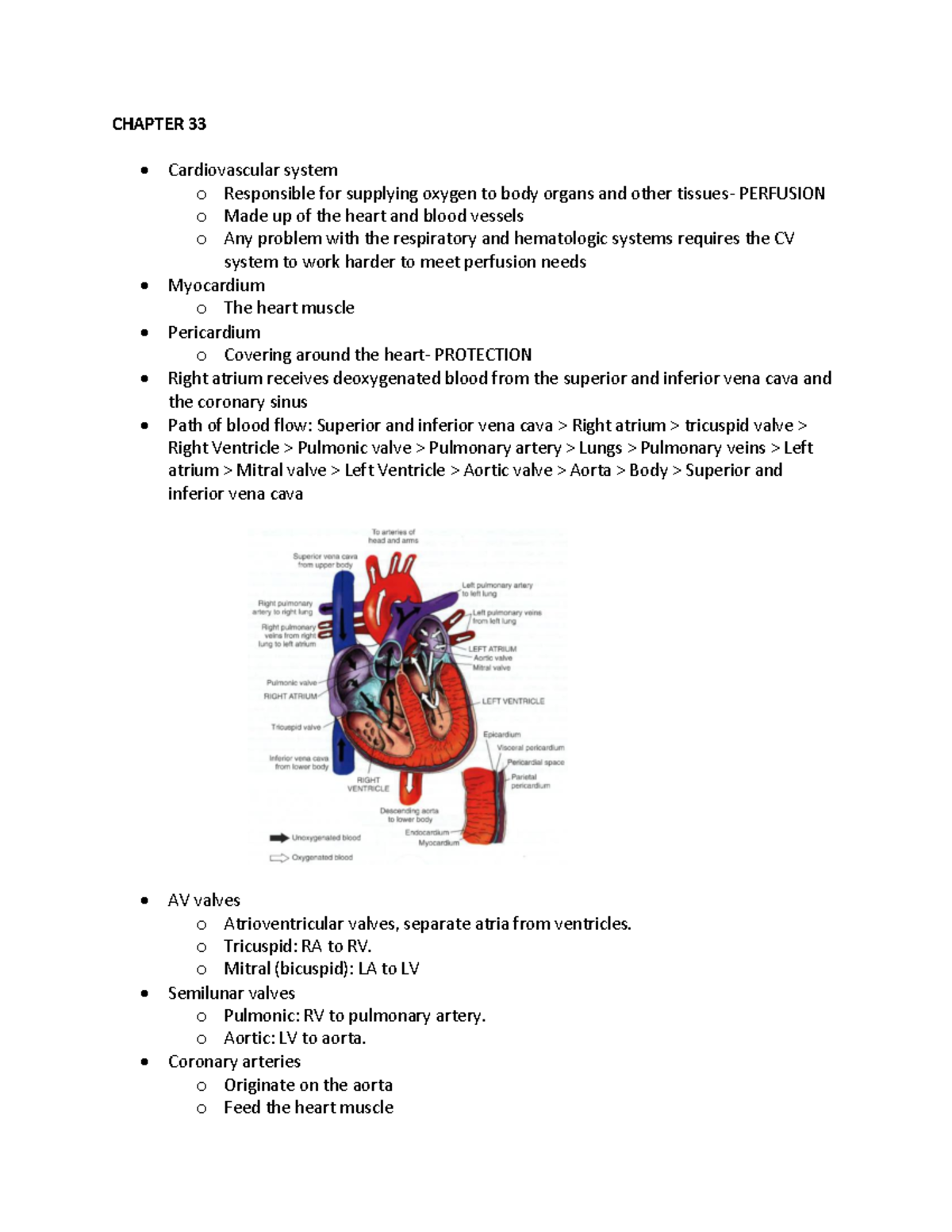 P5 Exam 1 notes - Cardiac Anatomy, Physiology and Function ...