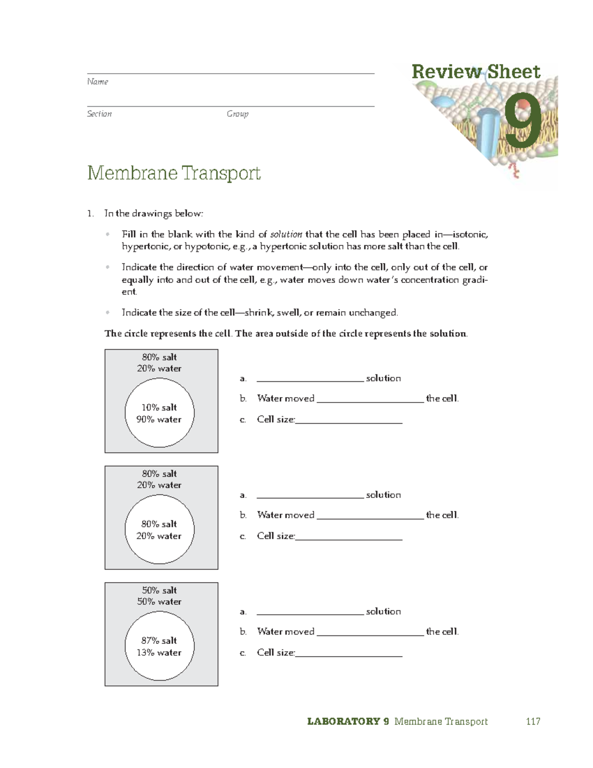 Lab 9 Review Sheet PP 117-118 - LABORATORY 9Membrane Transport 117 Name Review Sheet Section ...