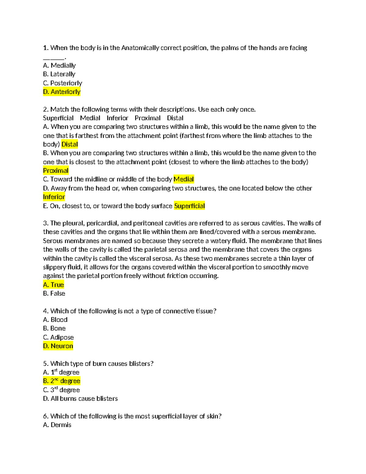 Anatomy Homework 1- Gray - When the body is in the Anatomically correct ...