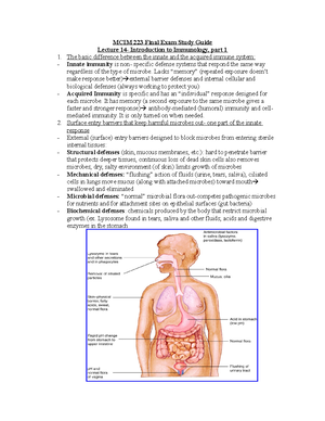 Mcim 223 Module 6 Lecture 1 and 2 Control of Microbes - Mcim 223 ...