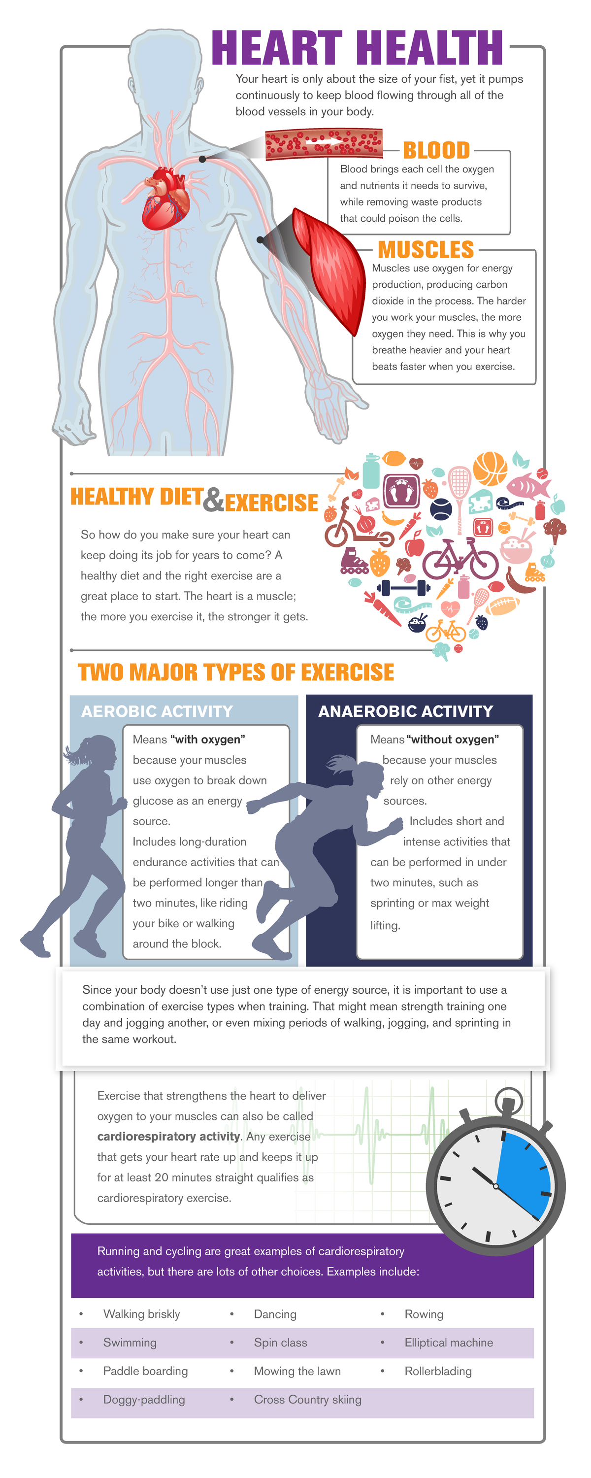 01 06 02 infograph ts 02 - real - HEART HEALTH BLOOD MUSCLES Your heart ...