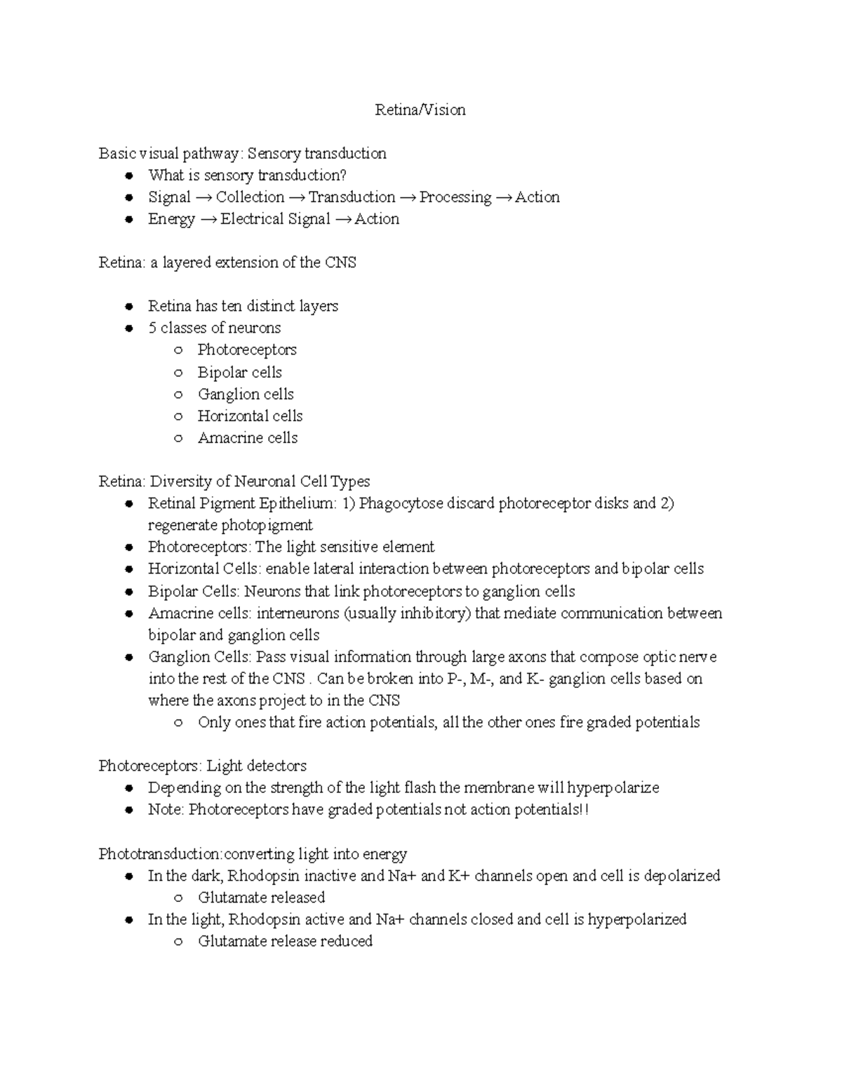 Retina Vision - Dr. Frenzel - Retina/Vision Basic visual pathway ...