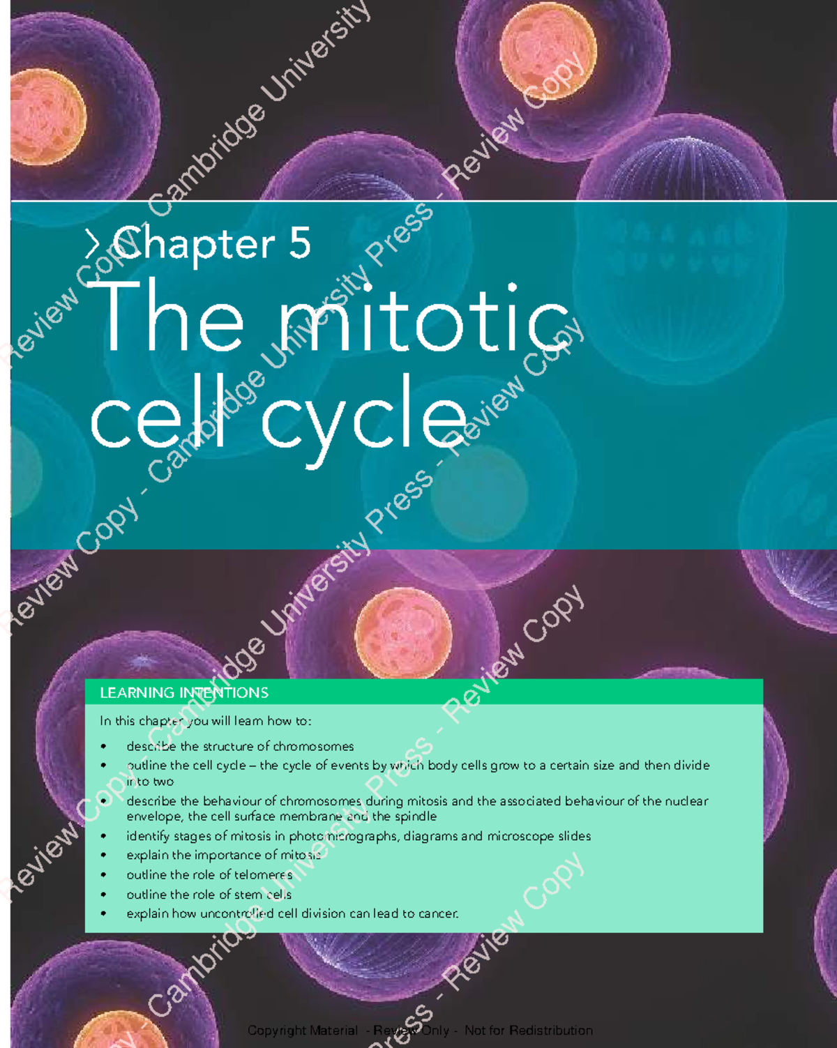 Chapter 5 biology - 132gferwgerw - Chapter 5 The mitotic cell cycle ...