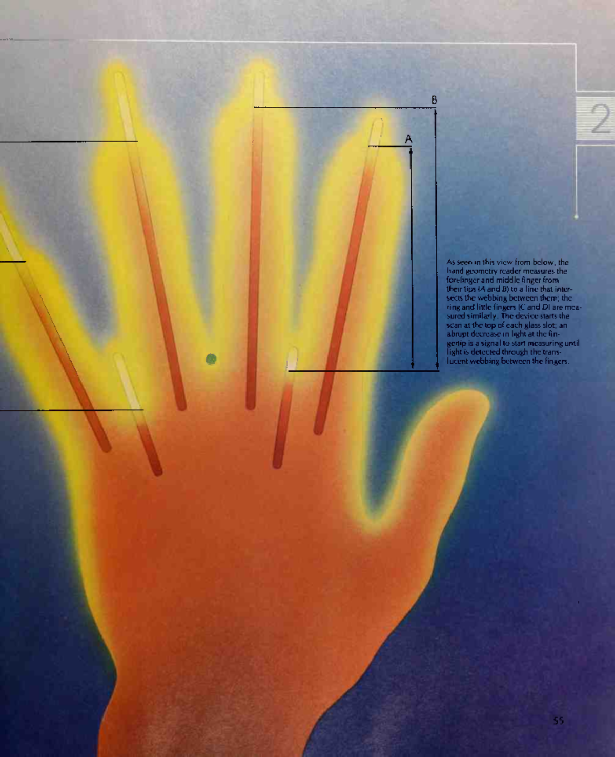 Computer Security-17 - As seen in this view from below, the hand ...