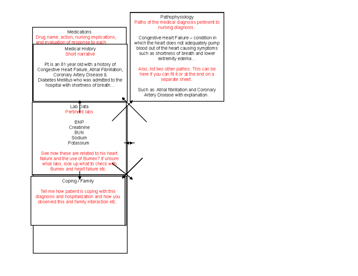 Concept Map example - Instructions: Nursing Diagnosis Activity ...