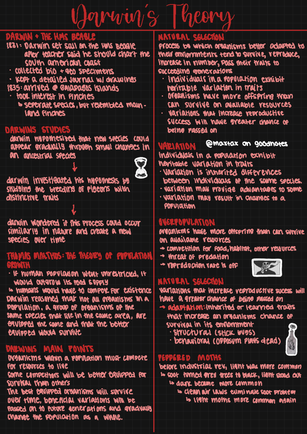 Darwins theory - notes - Darwin's Theory DARWIN THEHMS BEAGLE NATURAL ...