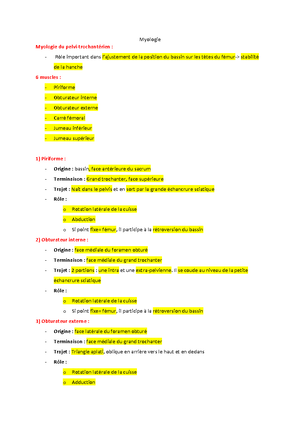 TD1 Anatomie staps - Warning: TT: undefined function: 32 I/ Généralités A. Position anatomique ...