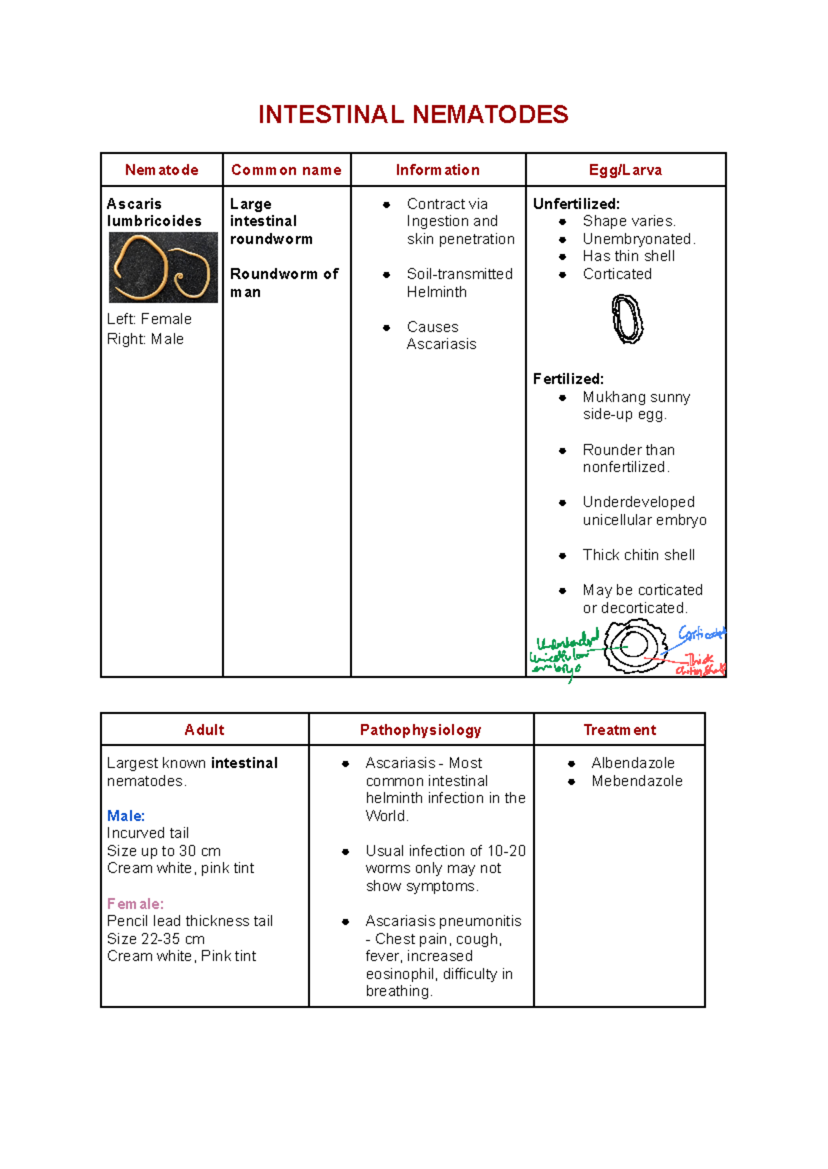Parasitology Nematodes Cestodes Trematodes Notes - INTESTINAL NEMATODES ...
