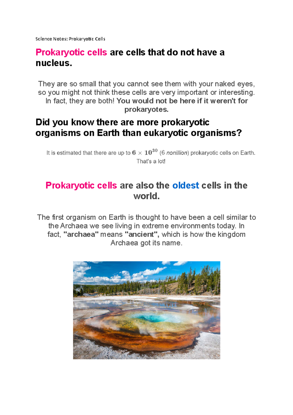 Science Notes Prokaryotic Cells - Science Notes: Prokaryotic Cells ...