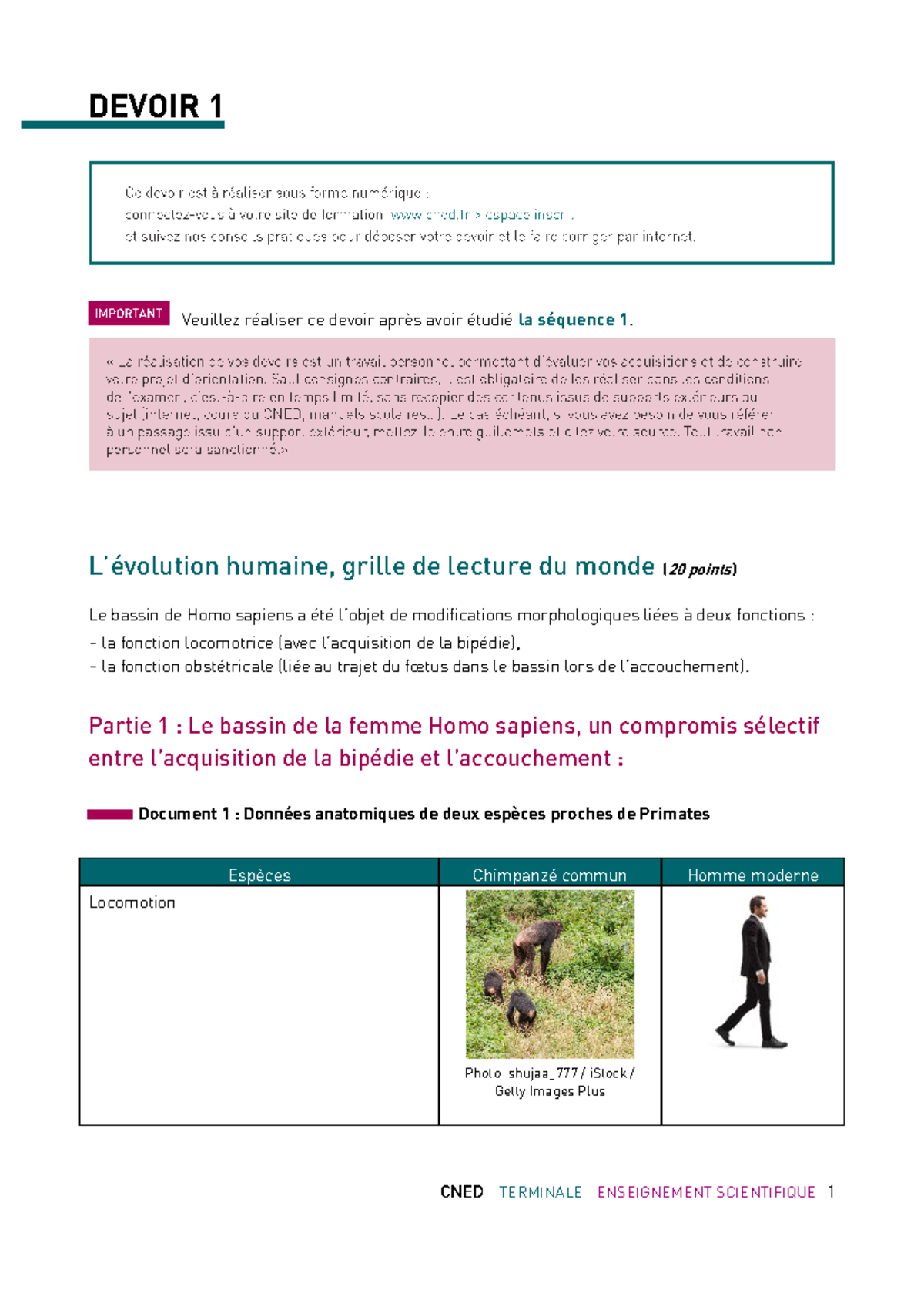 Devoir 1. Enseignement Scientifique - CNED TERMINALE ENSEIGNEMENT SCIENTIFIQUE 1 DEVOIR 1 ...